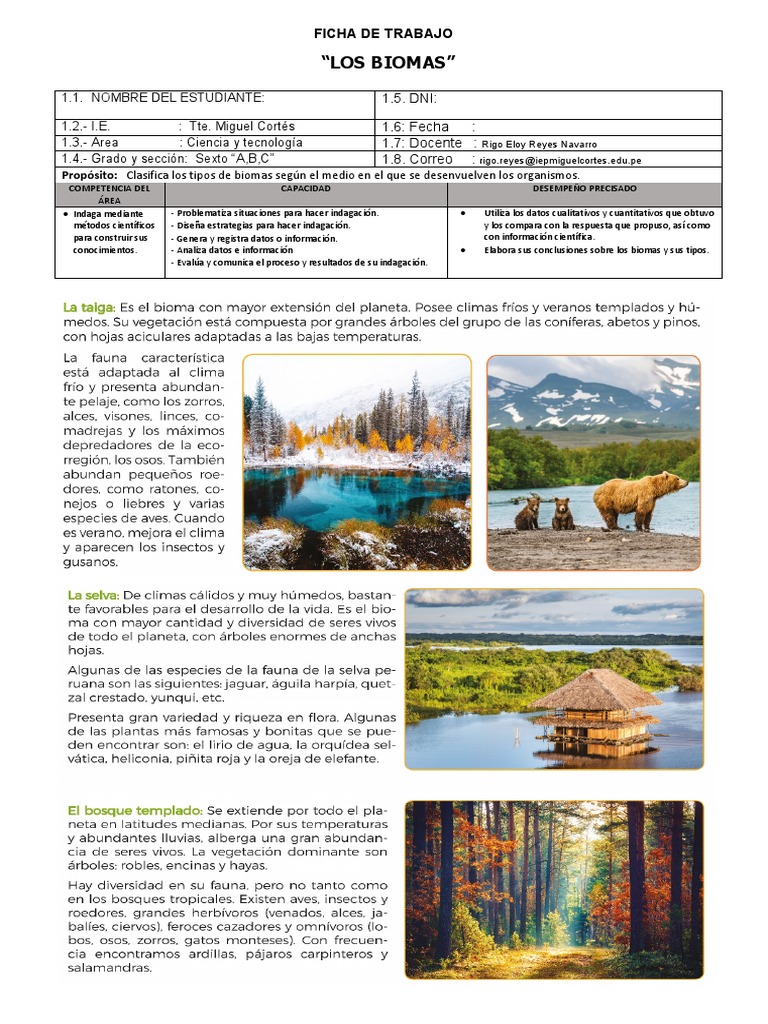 Fichas De Trabajo Sobre Biomas Y Ecosistemas Biomas Trabajo Final