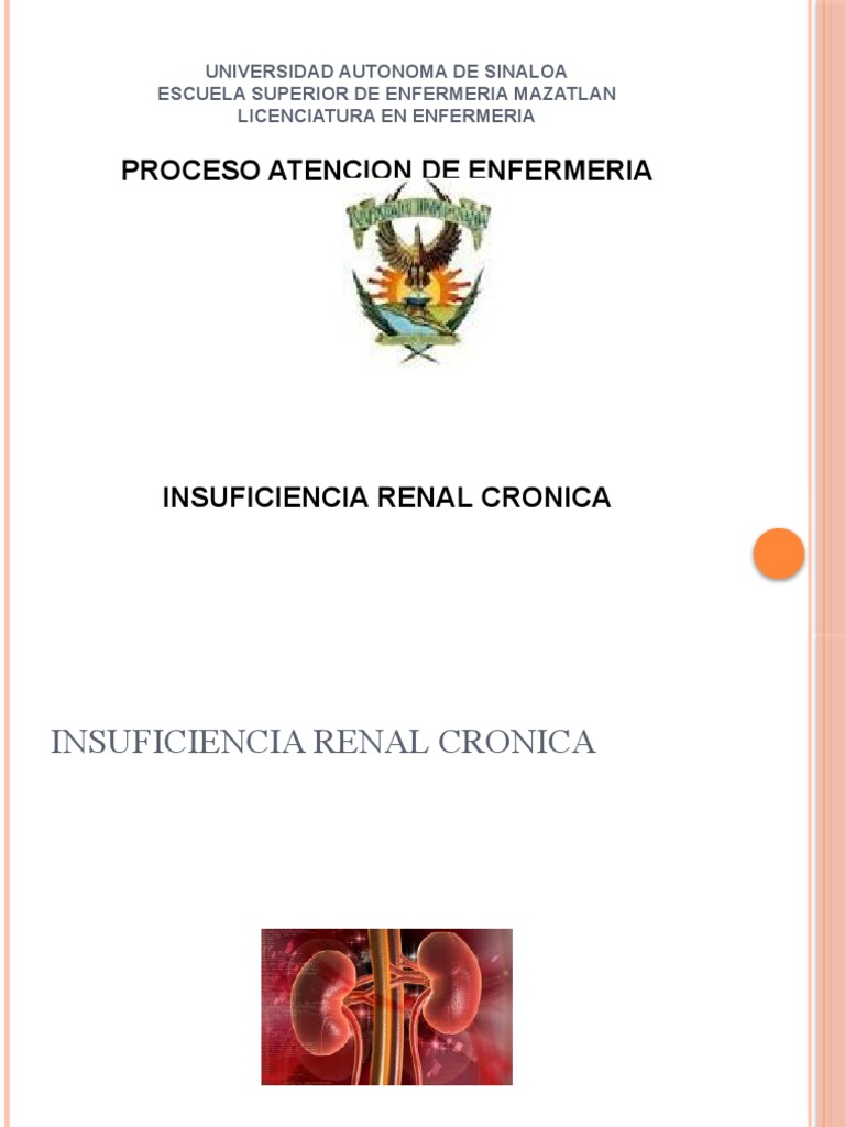 Pae Insuficiencia Renal Crónica | PDF | Angiotensina | Riñón