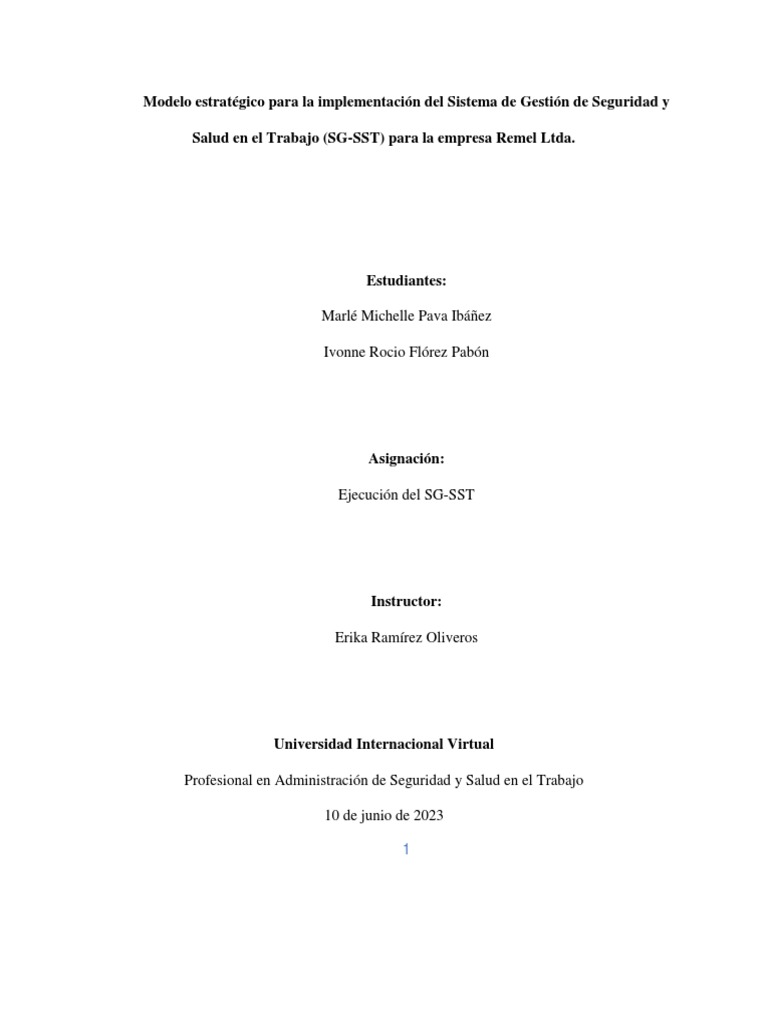 Estructura SG-SST Empresa Remel LTDA | PDF | Seguridad y salud ...