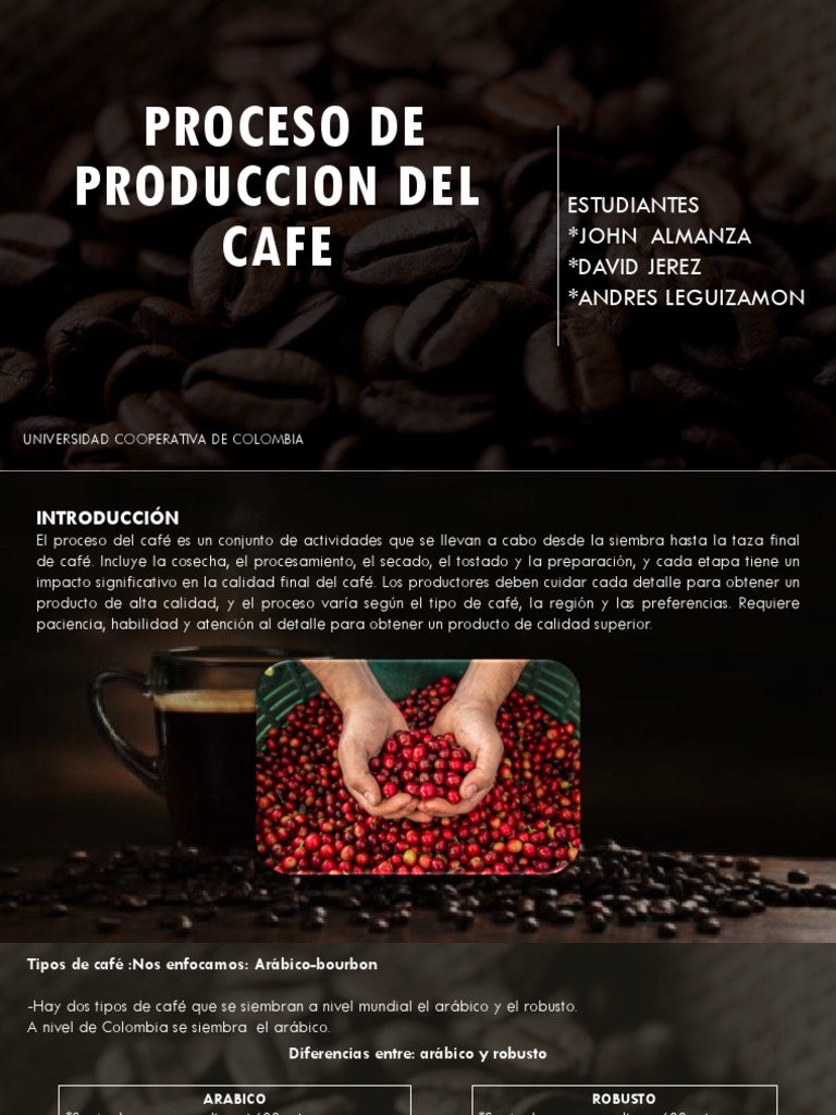 Proceso de Produccion Del Cafe | PDF