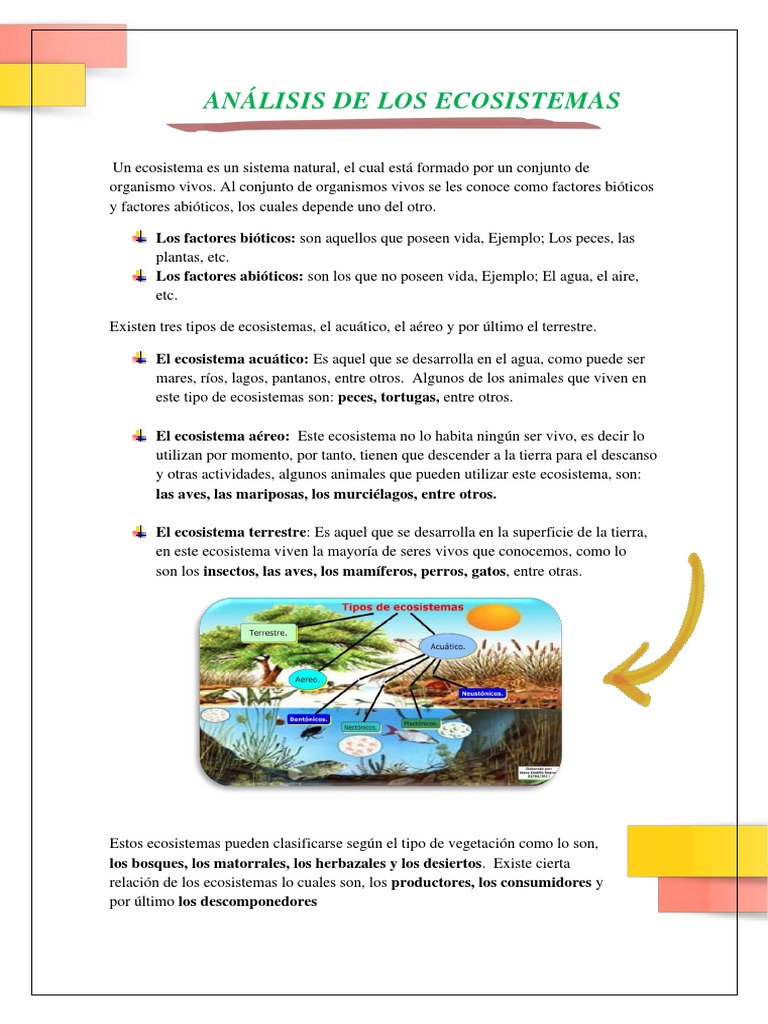 An Lisis de Los Ecosistemas | PDF | Ecosistema | Entorno natural