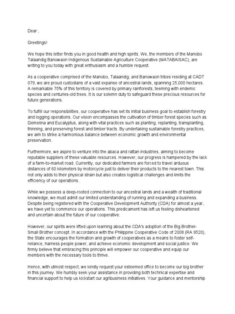 big brother letter | PDF