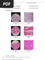 Rabbit Muscle Anatomy Overview | PDF | Lower Limb Anatomy | Soft Tissue