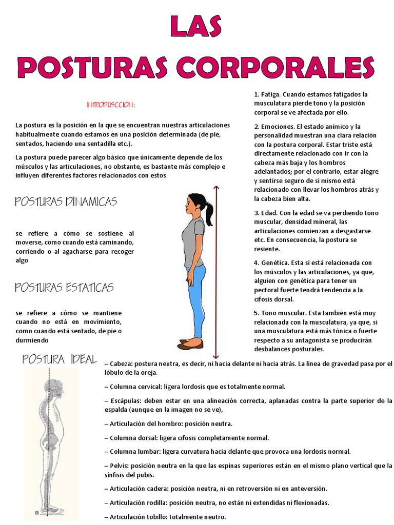 Posturas Corporales 1 | PDF