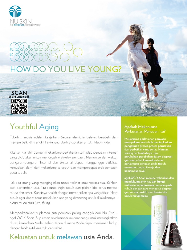 Y-Span Product Flyer - Bhs | PDF