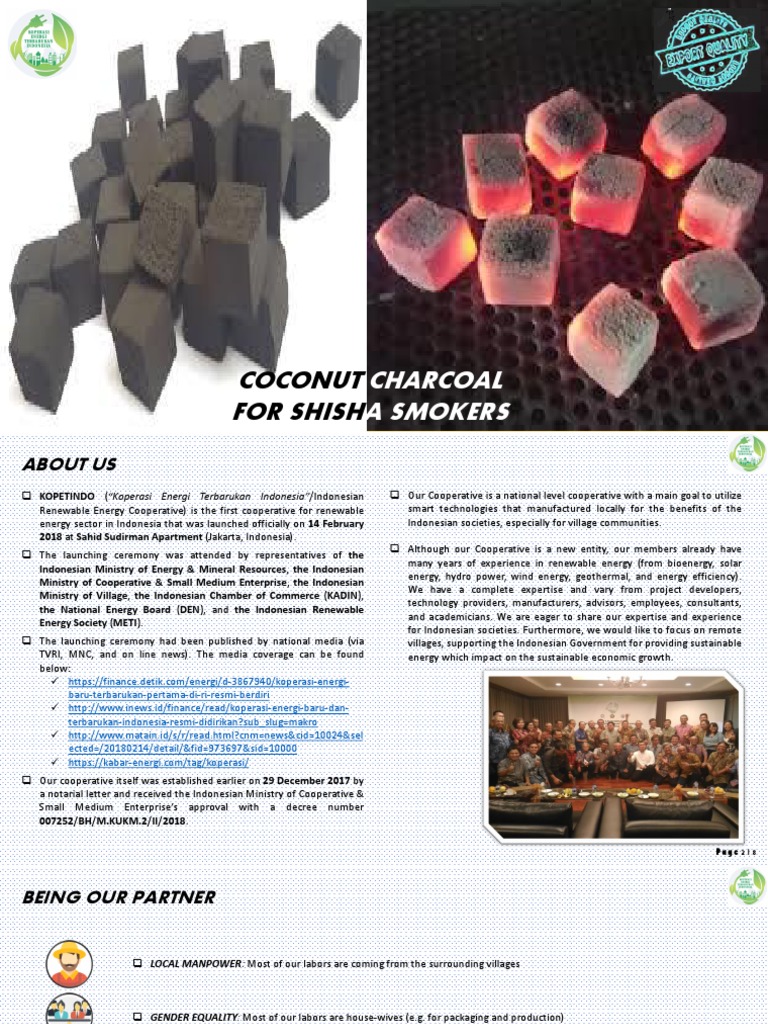 Charcoal | PDF