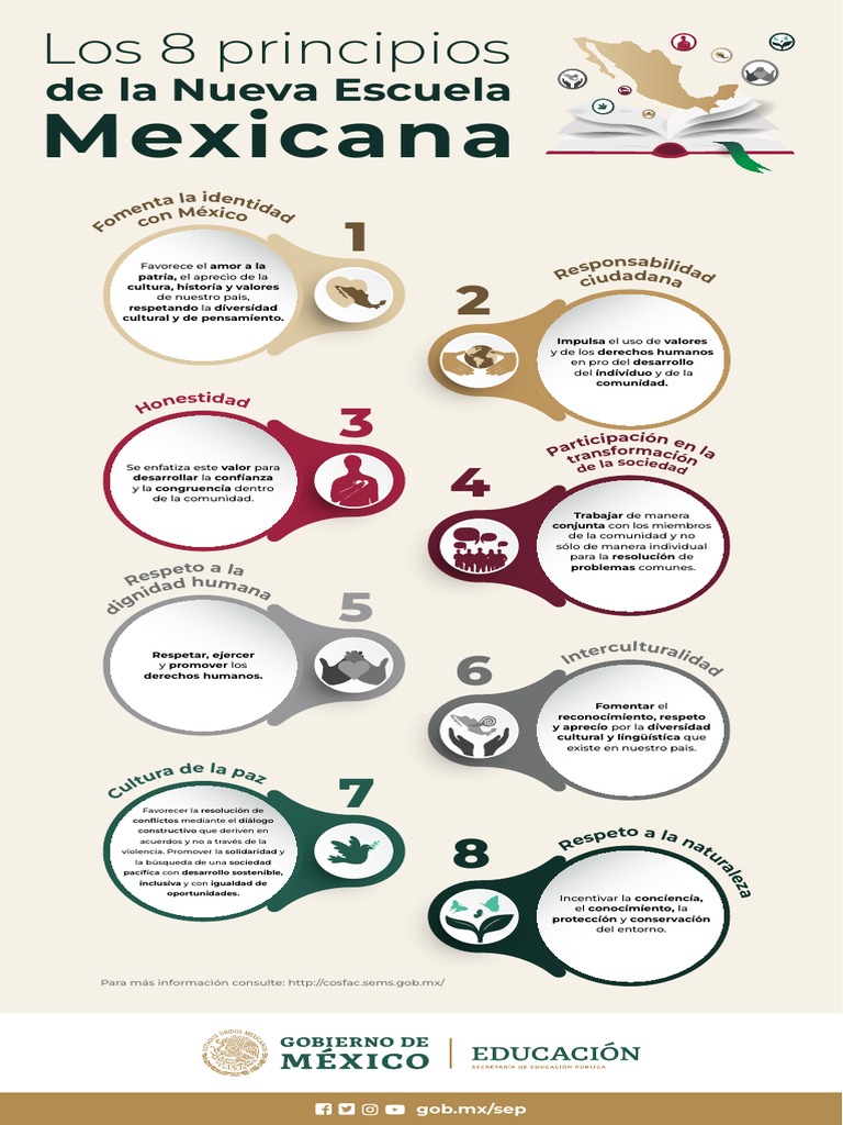 Principios de La Nem | PDF | Derechos humanos