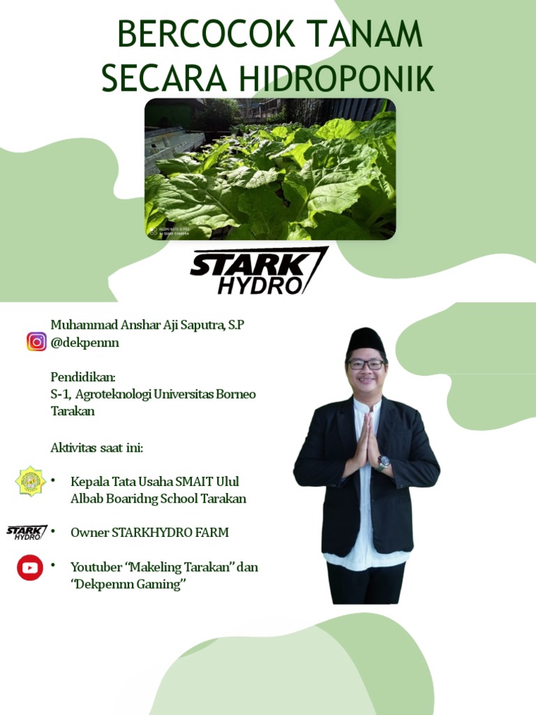 Materi Hidroponik Aji | PDF