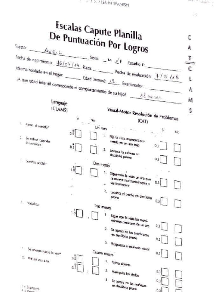 Protocolo Cat Clams. Ejemplo | PDF