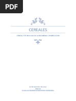 Subproductos del Arroz: Arrocillo y Más | PDF | Arroz | Cereales