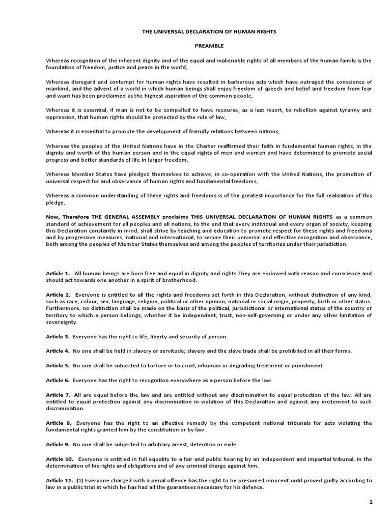 The Universal Declaration of Human Rights | PDF | European Convention ...