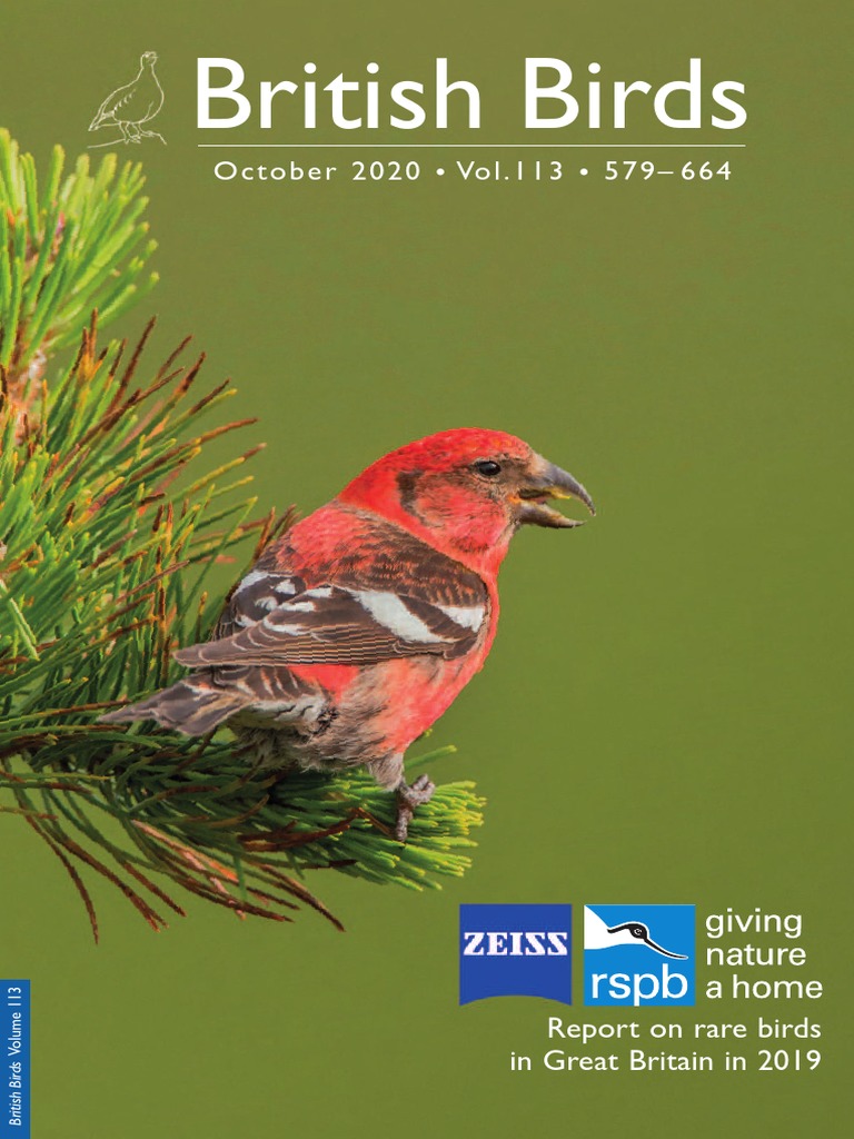 British - Birds October.2020 | PDF | Travel
