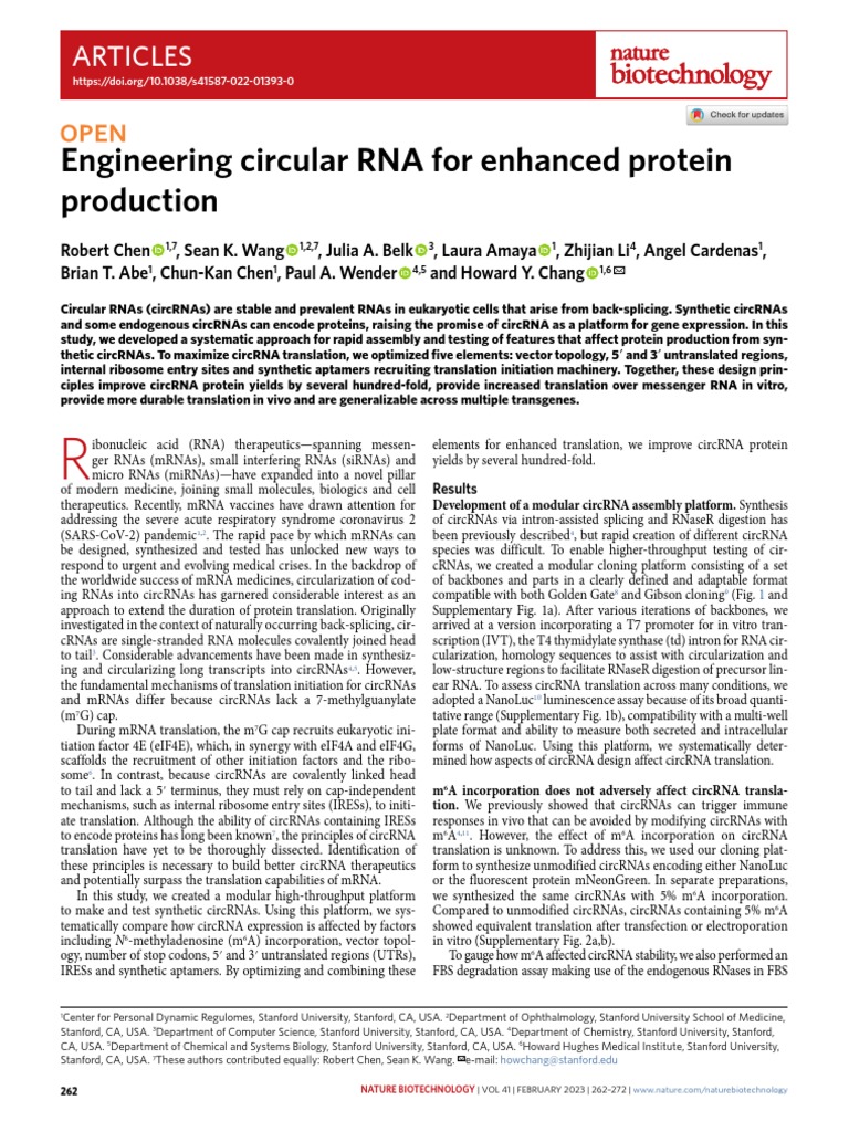 Circular RNA: Boosting Protein Yields | PDF