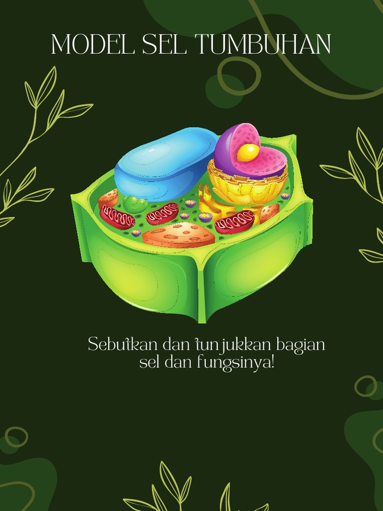 Model Sel Tumbuhan | PDF
