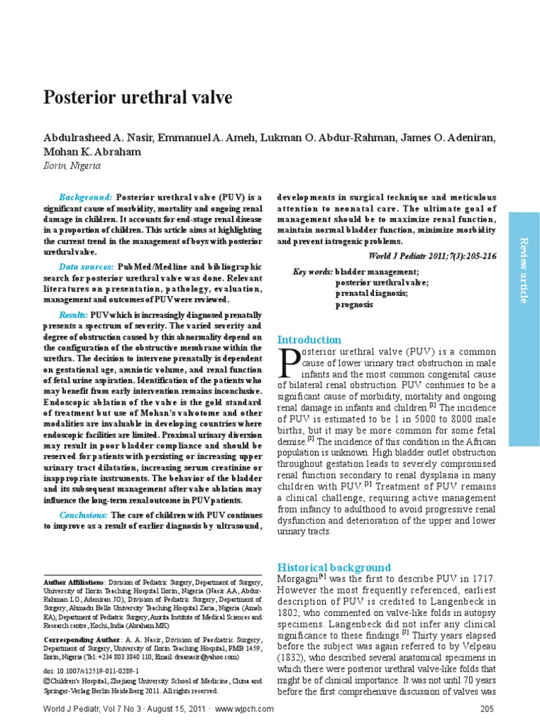 PUV | PDF | Kidney | Urinary Incontinence