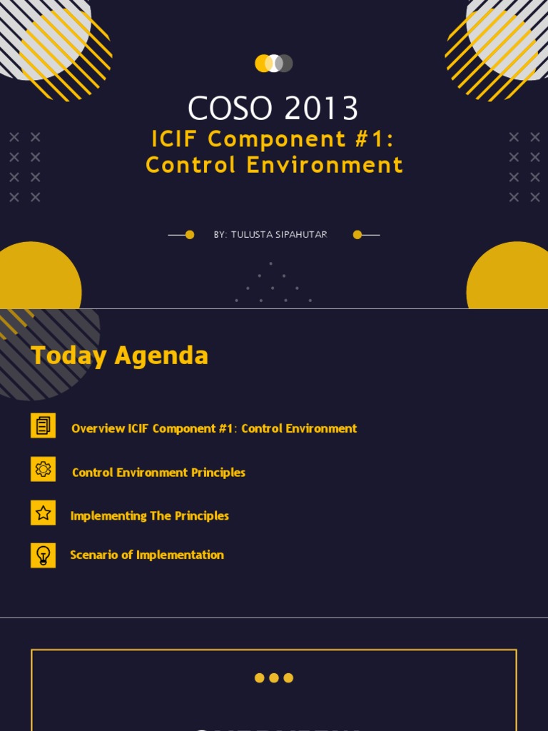 Overview COSO 2013 IC Framework - Element #1 - Control Environment | PDF