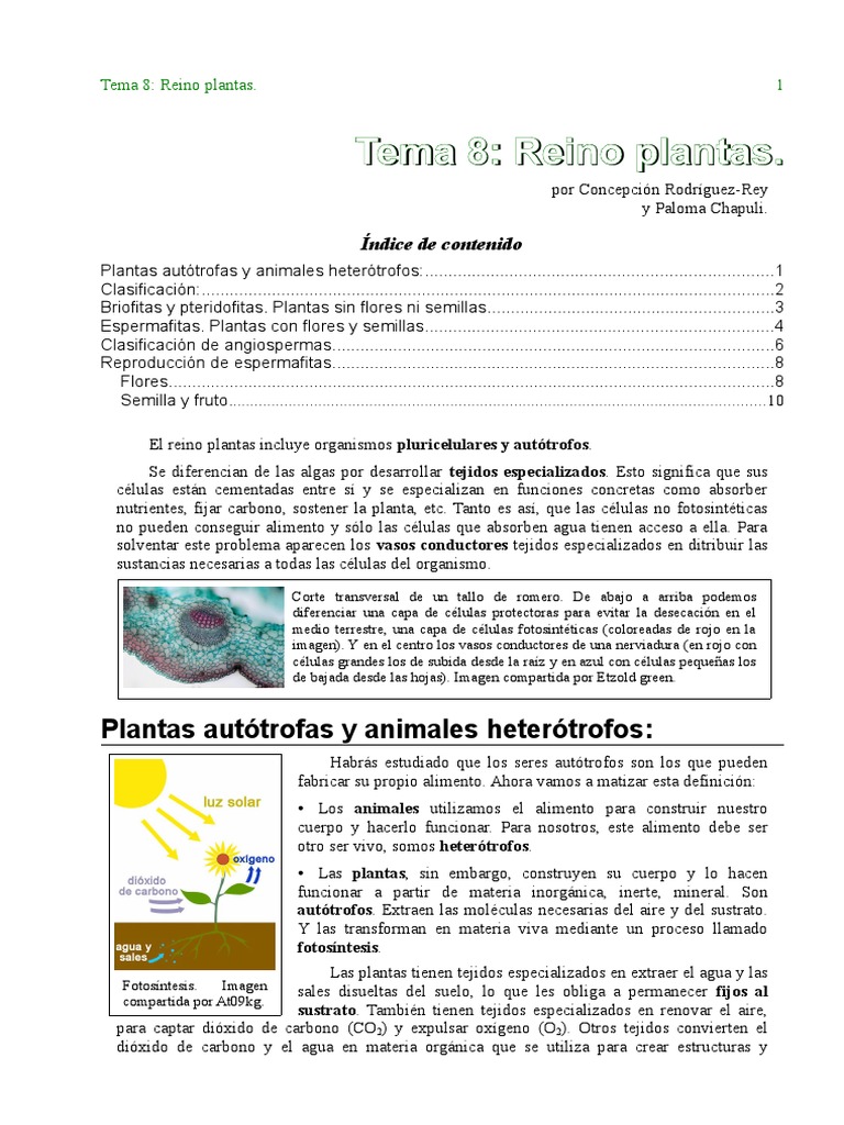 Plantas y Animales Material de Apoyo | PDF | Flores | Plantas
