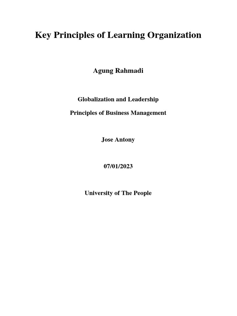 Key Principles of Learning Organization | PDF