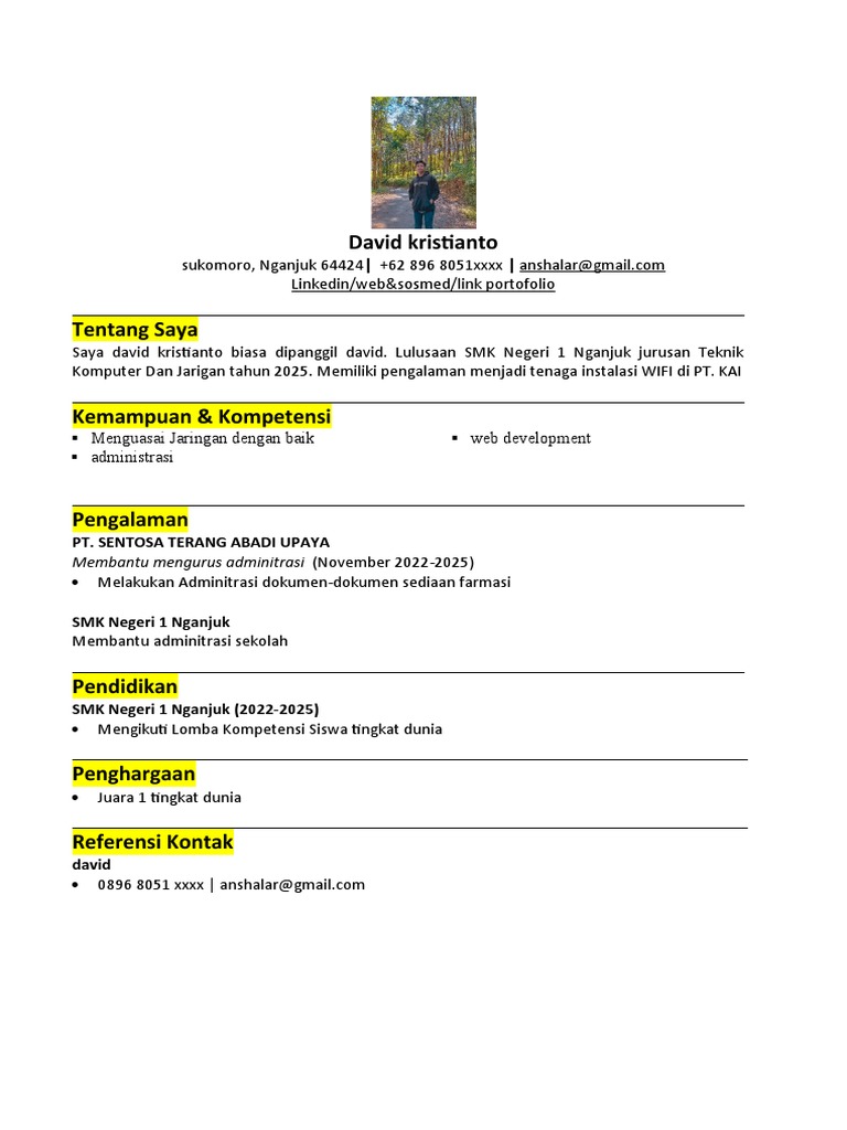 Profil Profesional David Kristianto | PDF