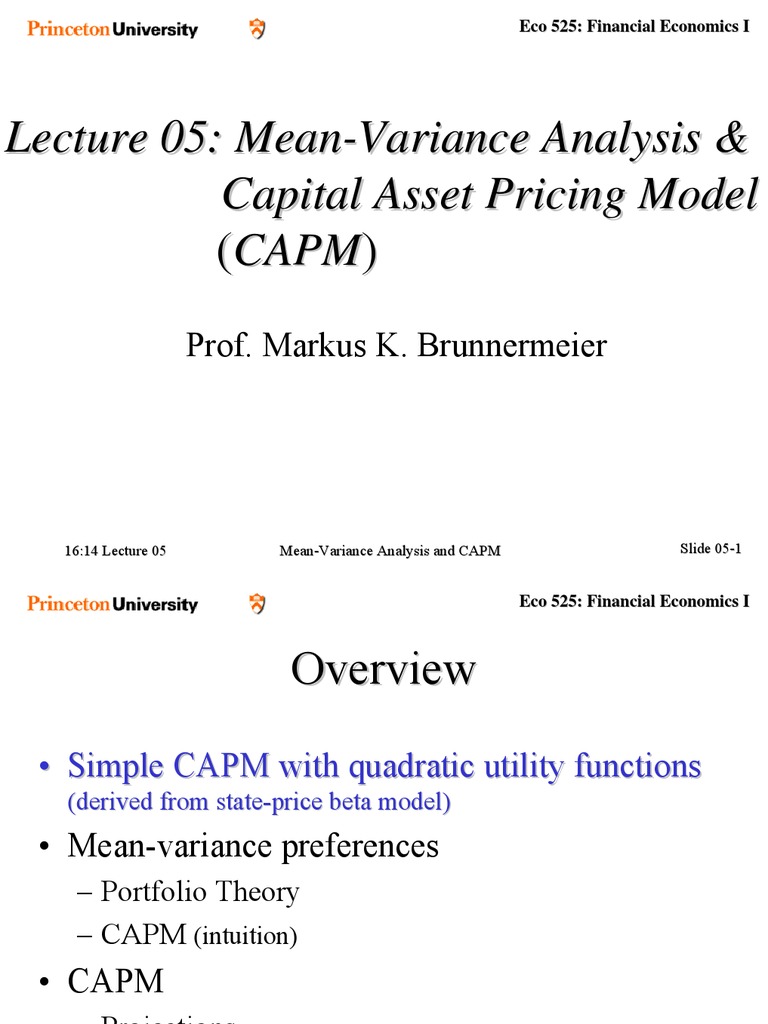 Mean-Variance Analysis and CAPM Overview | PDF | Modern Portfolio ...