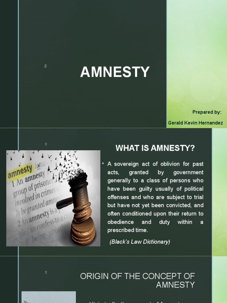 Amnesty | PDF