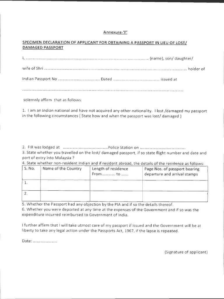 Affidavit For Lost or Damaged Passport | PDF