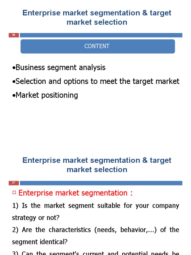 4. Market Segmentation Target Market Selection | PDF