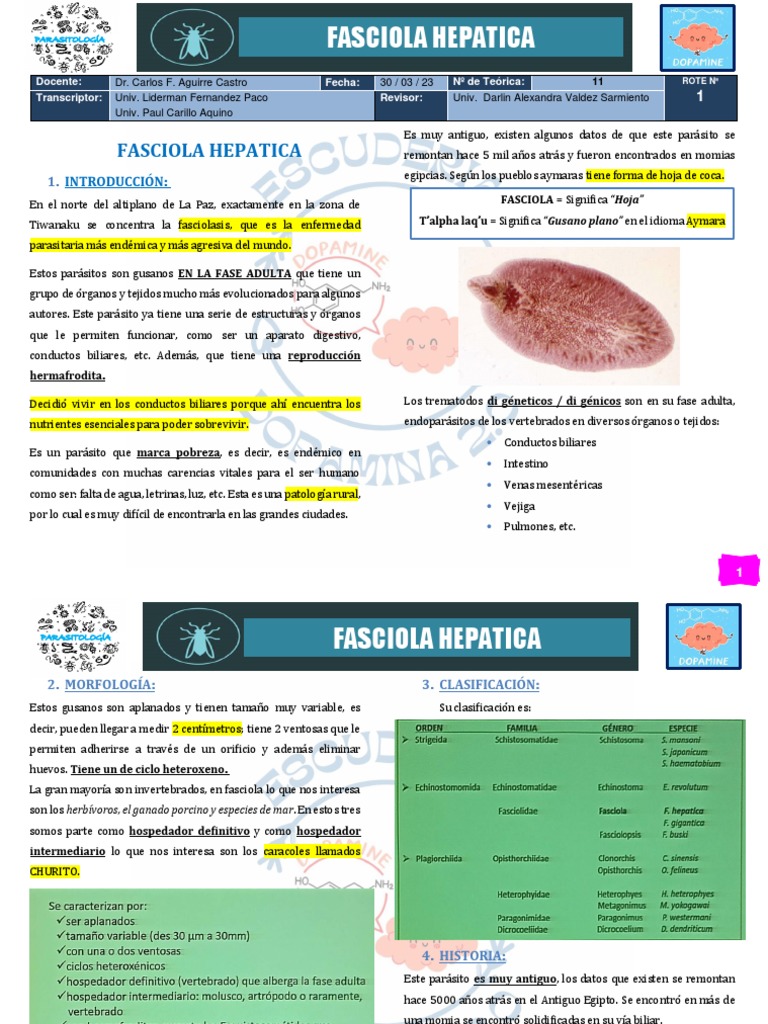 P r1 t11 Fasciola Hepatica | PDF