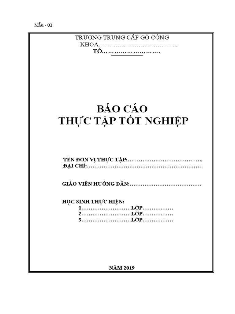 Cac Mau Bieu Trong Bao Cao TTTN | PDF