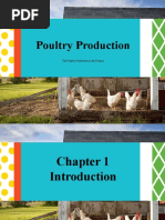 2.4 Layer Flock Management | PDF | Chicken | Poultry Farming