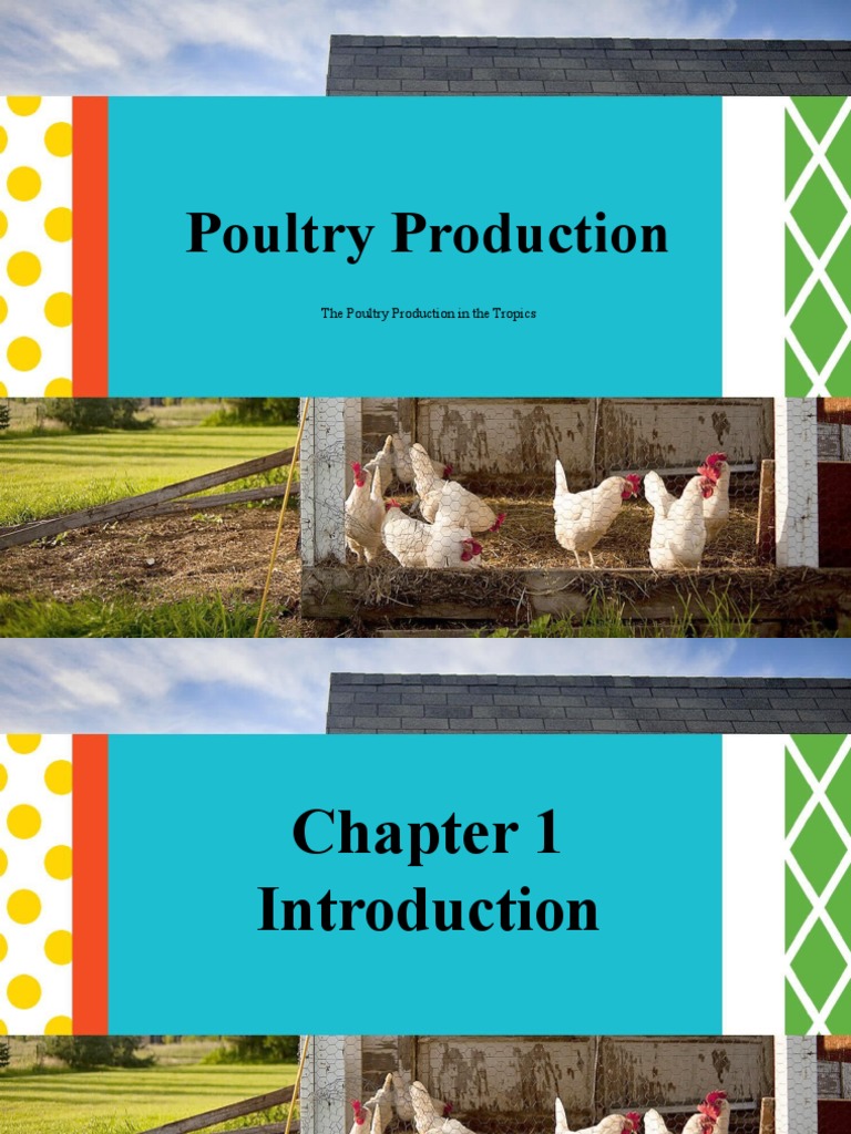1. Poultry Production - Introduction | PDF | Chicken | Poultry