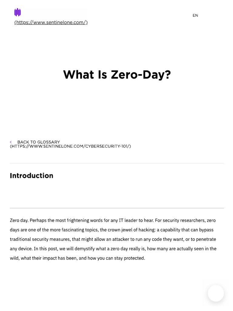 Zero Day Attacks | PDF