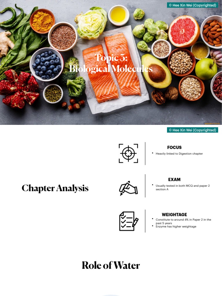 (CS BIO) Chapter 3 - Biological Molecules | PDF | Carbohydrates | Enzyme