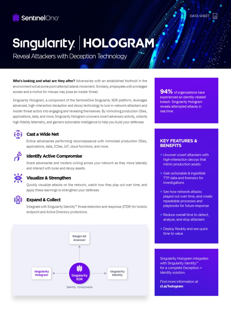 Singularity Hologram Ds | PDF