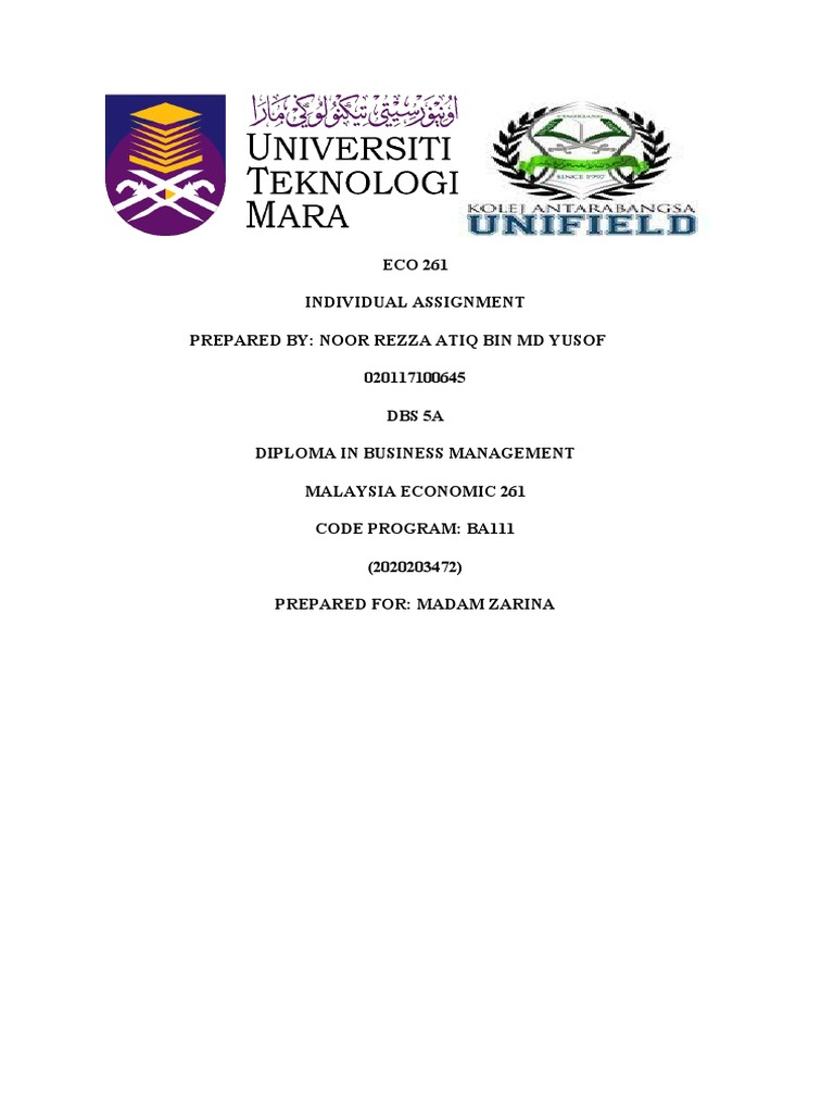 Eco 261 Indv Assignment-Rezza | PDF | Tourism | Airlines