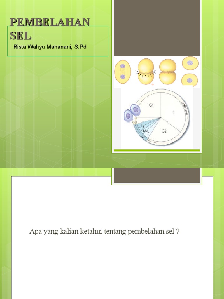 Pembelahan Sel | PDF