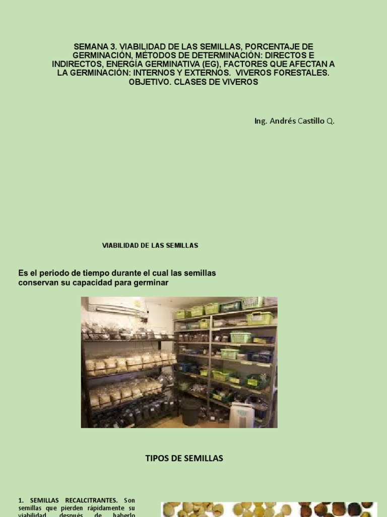 Semana 3. Germinación de Semillas Viveros | PDF