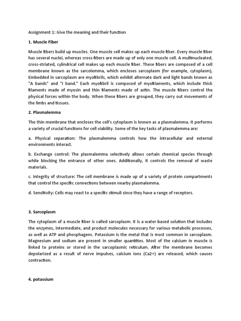 First Assignment Pdf