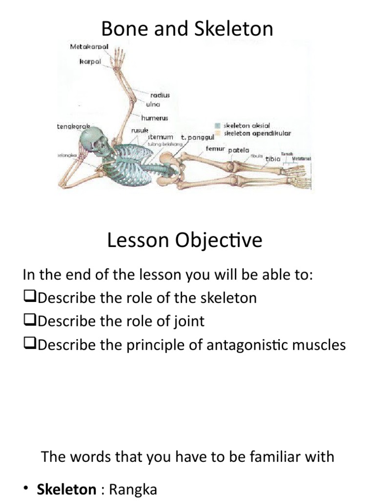 G8 - Bones and Skeleton | PDF | Self-Improvement