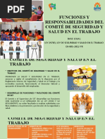 Conformación y Funciones del Comité SST | PDF | Valores | Votación