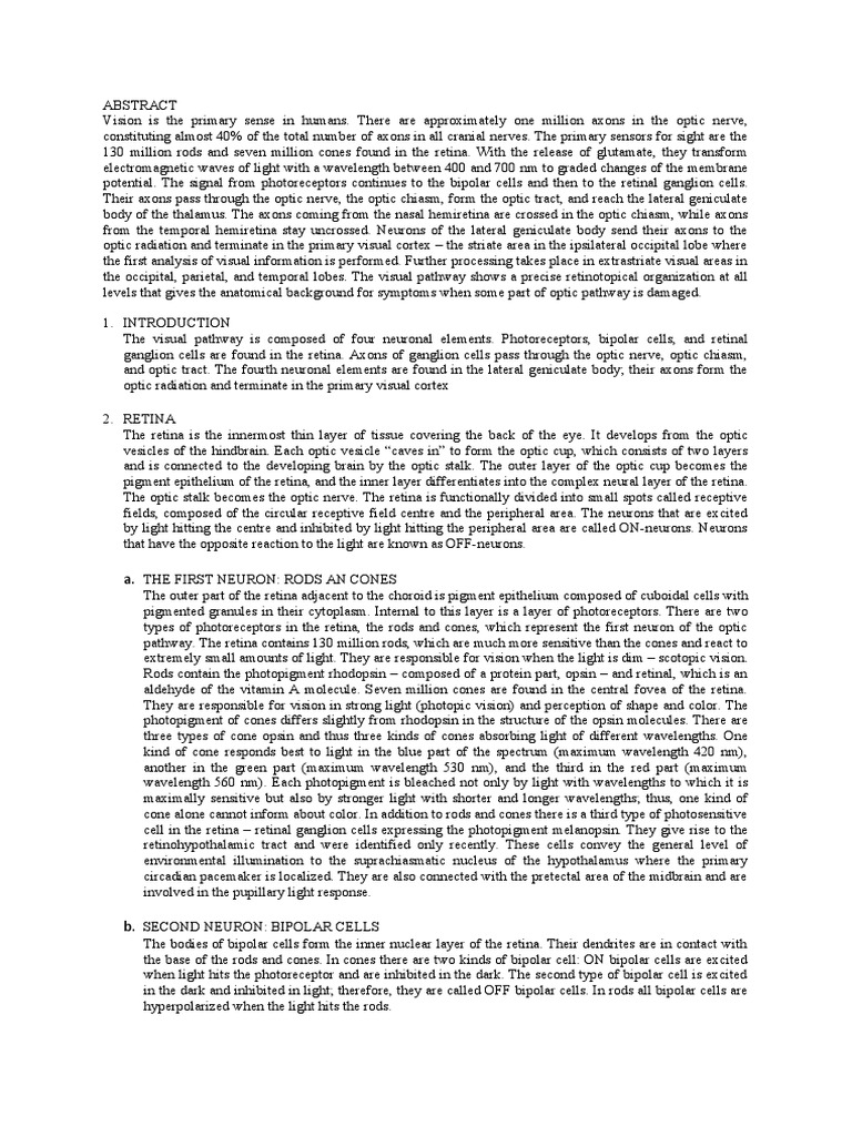 Understanding the Human Visual Pathway | PDF | Self-Improvement