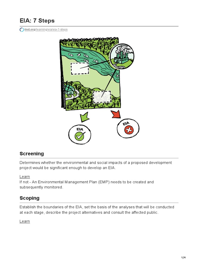 EIA 7 Steps | PDF