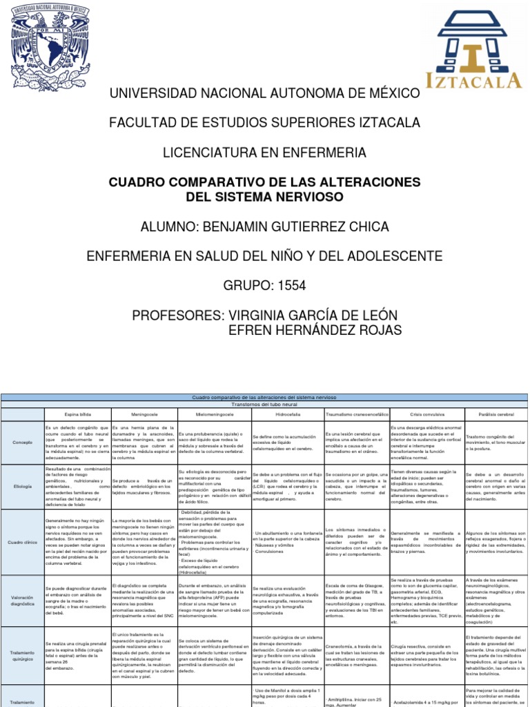 Benjamin Gutierrez | PDF | Sistema nervioso central | Cerebro