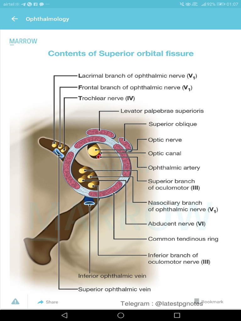 Marrow Edition 8 Ophthalmology Notes | PDF | Tests