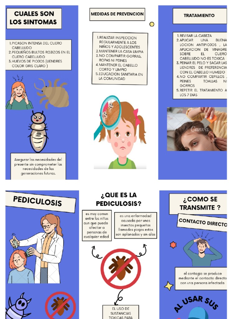 Pediculosis Folleto | PDF
