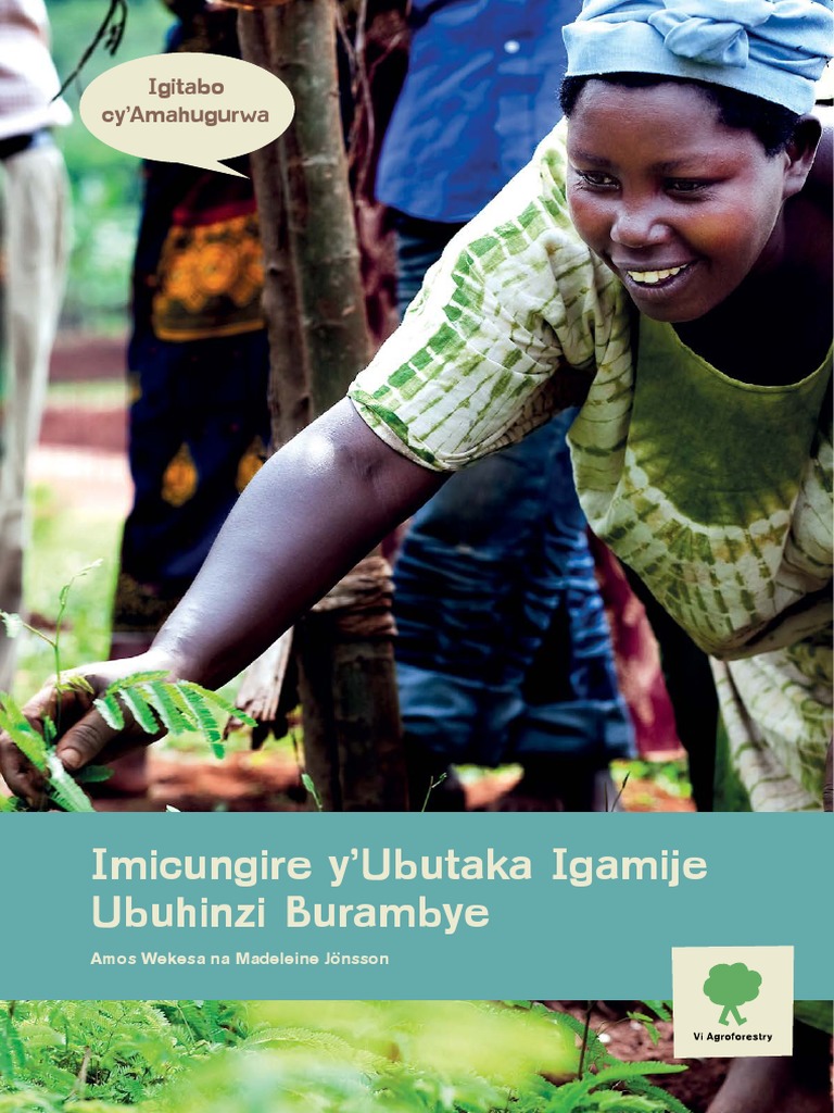 Web Vi-Agroforestry Rwanda | PDF