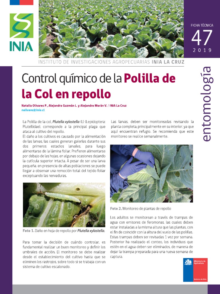 Ficha Técnica INIA #47 | PDF