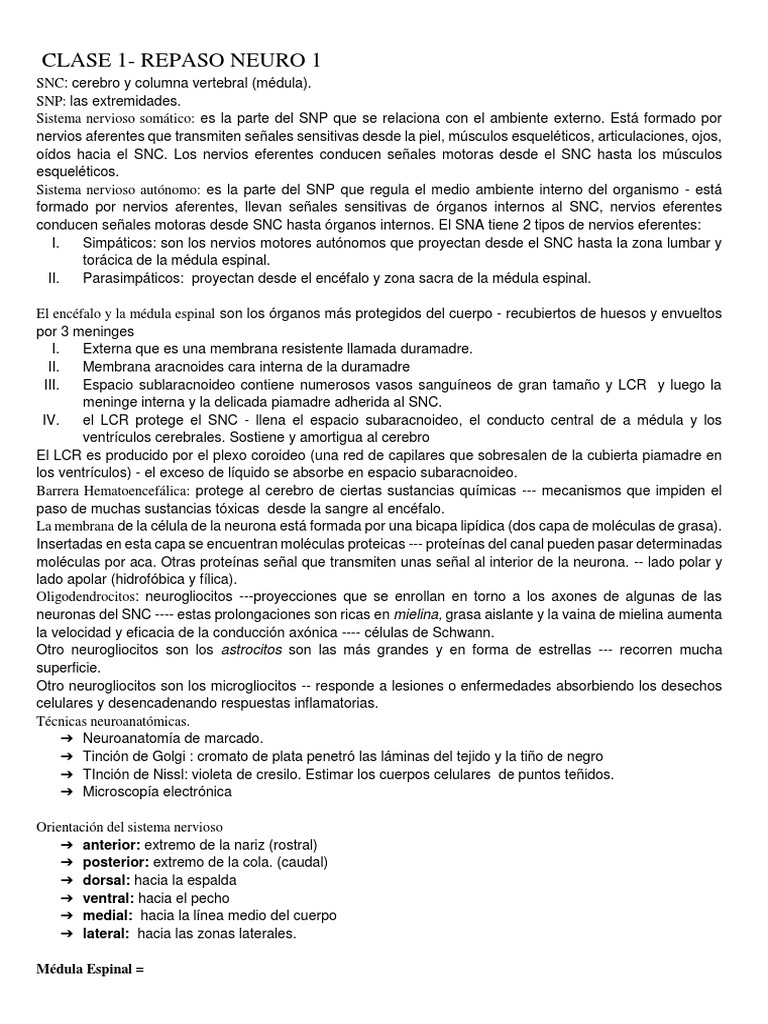 Neuro 3 Complet | PDF