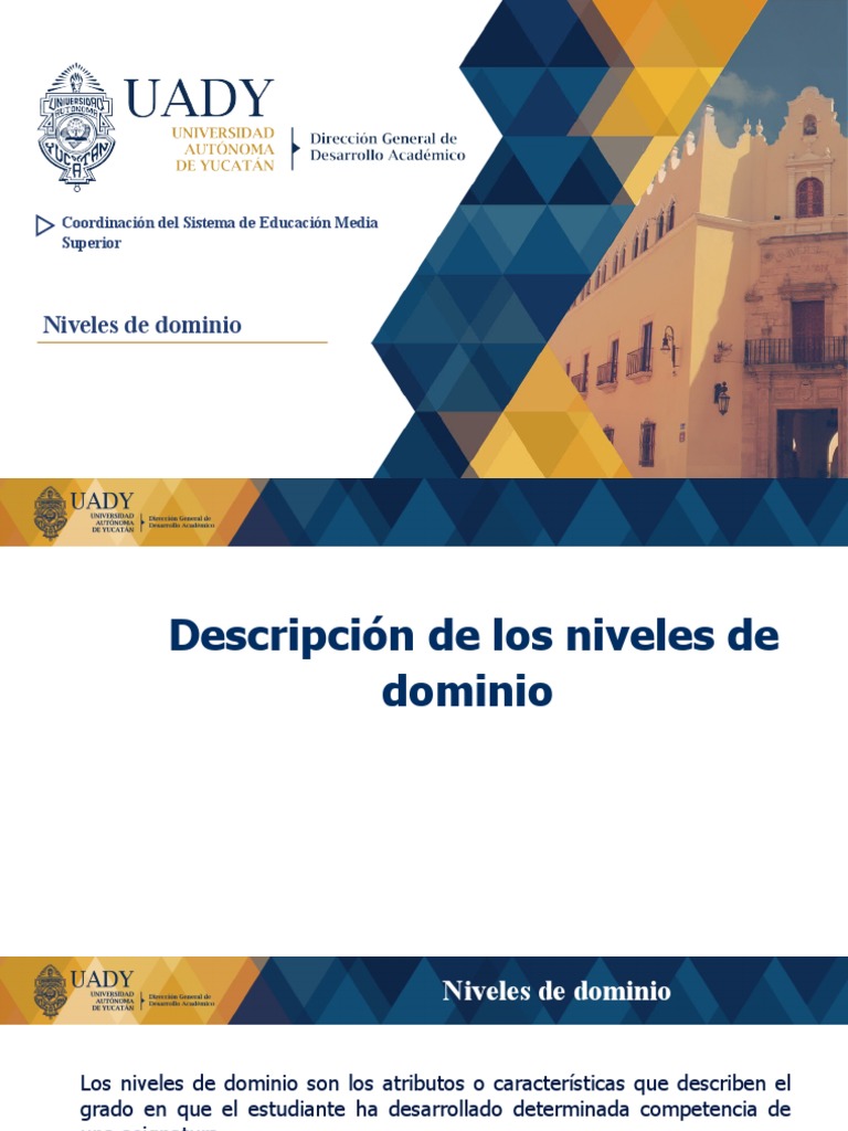 06 - Niveles de Dominio | PDF | Crecimiento personal y profesional