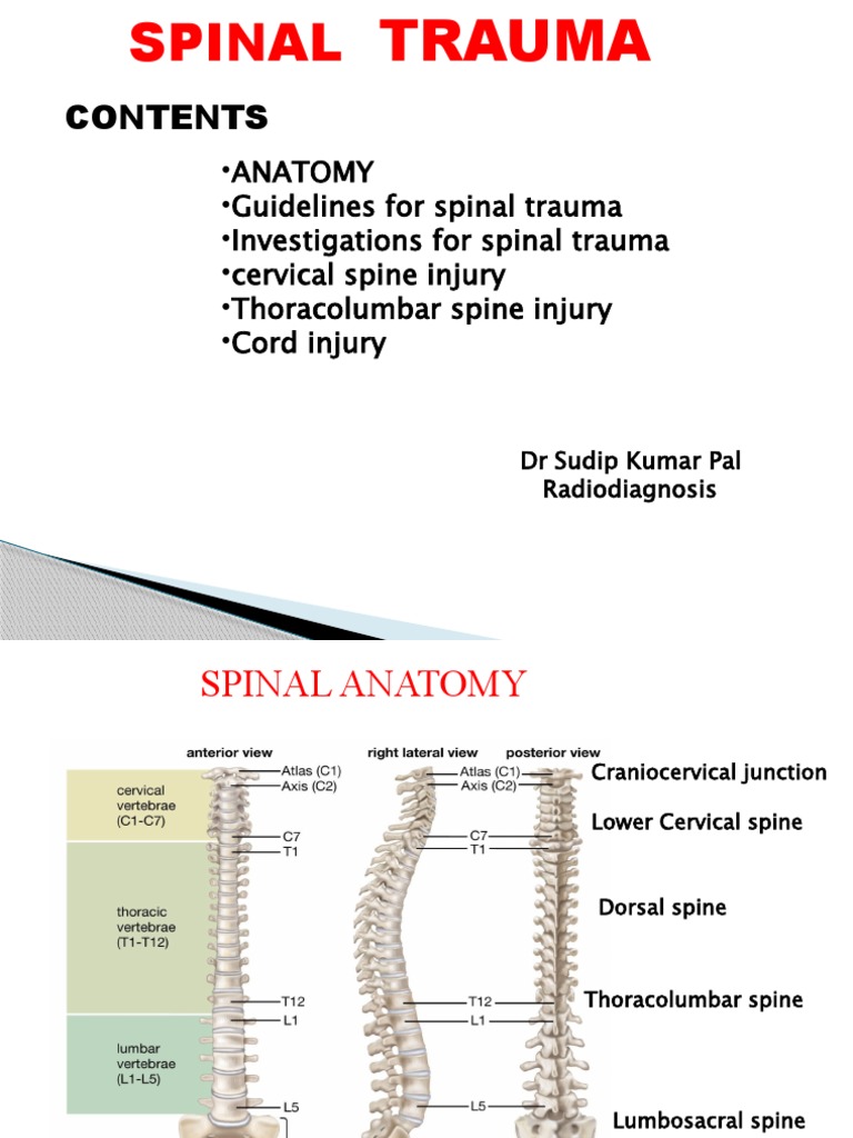 Spinal Trauma | PDF